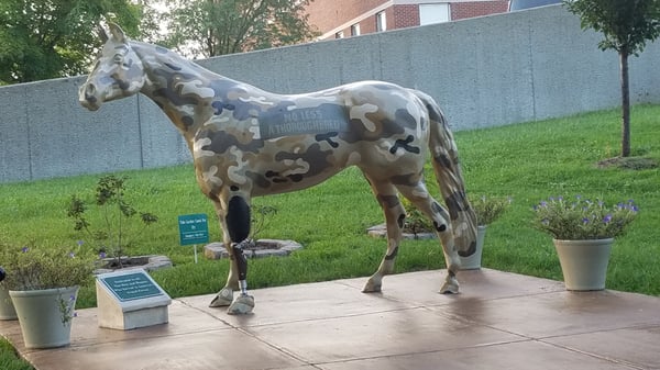 ROBLEY REX VA MEDICAL CENTER - Updated November 2025 - 28 Photos & 13 ...