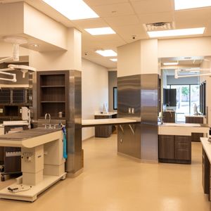 VIP ANIMAL HOSPITAL - Updated January 2026 - 185 Photos & 363 Reviews ...