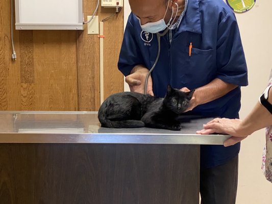 ABC VETERINARY HOSPITAL - Updated August 2024 - 25 Photos & 82 Reviews ...