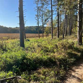 KETTLE MORAINE STATE FOREST - Updated January 2026 - 126 Photos & 48 ...