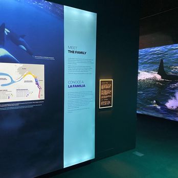 OREGON MUSEUM OF SCIENCE AND INDUSTRY - 1449 Photos & 602 Reviews ...