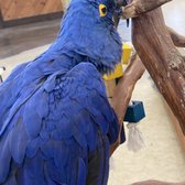 Magnolia Bird Farm - 77 Photos & 113 Reviews - Pet Stores - 12200 ...