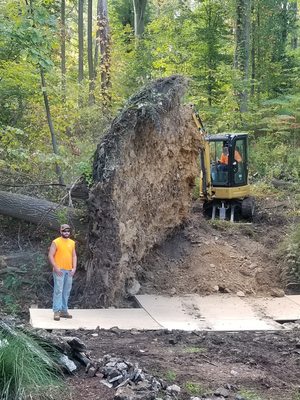 PRO TREE SERVICES - Updated December 2025 - 20 Photos & 26 Reviews - 14 ...