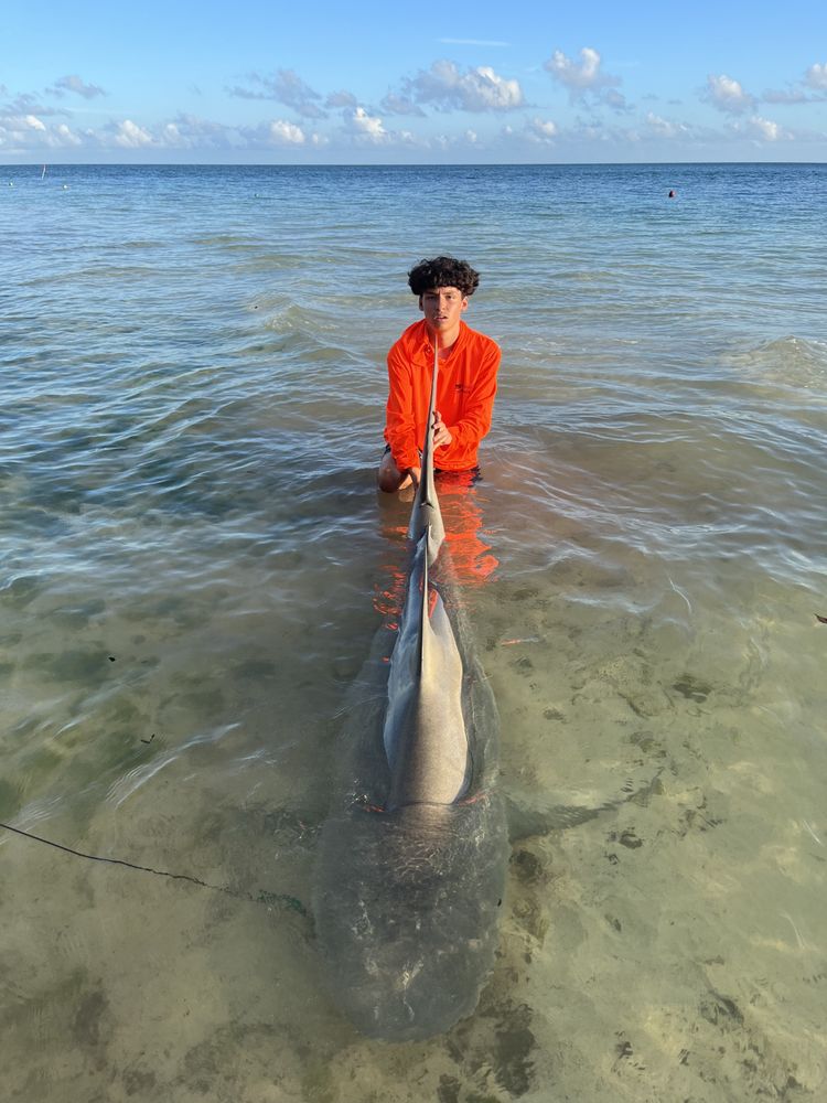 FL.SHARKS - Updated November 2024 - 11 Photos - 30341 SW 163rd Ave ...