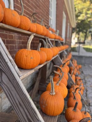 SHAKER VILLAGE OF PLEASANT HILL - Updated October 2025 - 311 Photos & 133 Reviews - 3501 ...