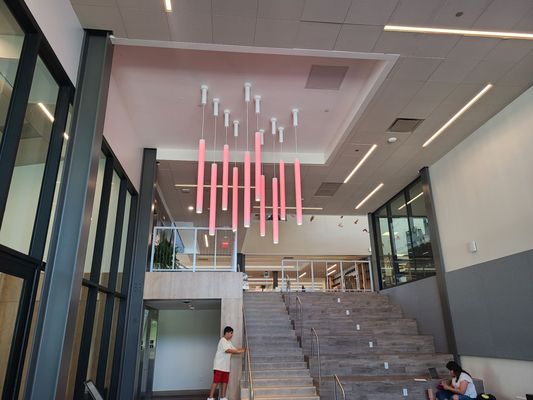 TRAPHENE HICKMAN LIBRARY - Updated December 2025 - 11 Photos - 450 ...