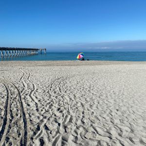CASPERSEN BEACH PARK - 205 Photos & 69 Reviews - 4100 Harbor Dr, Venice ...