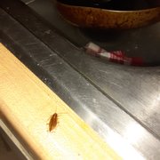 RJ PROPERTY MANAGEMENT - 5099 Old Summer Rd, Memphis, TN - Yelp