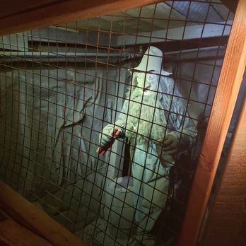 VALA’S PUMPKIN PATCH - Updated September 2025 - 416 Photos & 183 ...