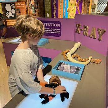 BOONSHOFT MUSEUM OF DISCOVERY - Updated August 2025 - 173 Photos & 77 ...