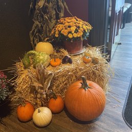 THE GRAPEVINE GRILLE - Updated July 2025 - 52 Photos & 86 Reviews - 62 ...