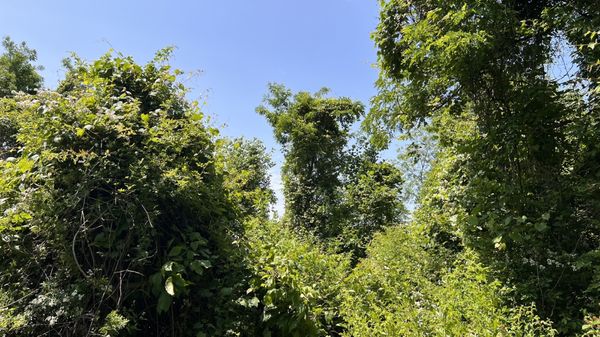 CHRISTOPHER MORLEY PARK - Updated October 2025 - 55 Photos & 32 Reviews ...