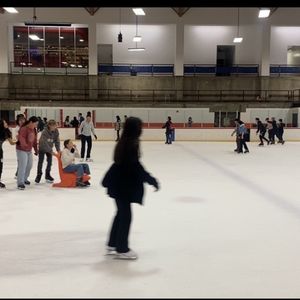 THE RINKS - ANAHEIM ICE - 217 Photos & 206 Reviews - 300 W Lincoln Ave ...
