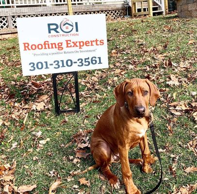 ROI CONSTRUCTION - Updated January 2026 - 497 Photos & 31 Reviews ...