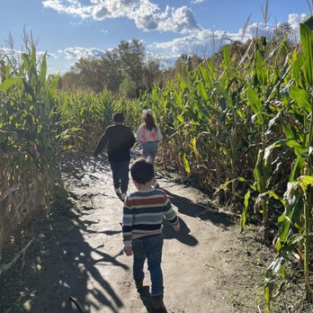 CONFREDA GREENHOUSES & FARMS - Updated August 2025 - 122 Photos & 57 ...