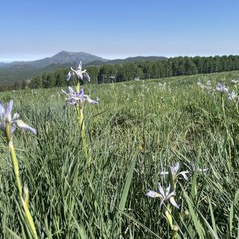 ASPEN NATURE LOOP - Updated December 2025 - 55 Photos & 18 Reviews ...