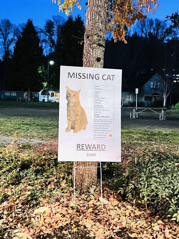 CITY OF BOTHELL - Updated May 2024 - 16 Photos - 18415 101st Ave NE ...