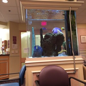 WALPOLE PEDIATRIC ASSOCIATES - Updated October 2025 - 10 Reviews - 1350 ...