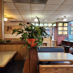 BEANSPROUT CHINESE RESTAURANT - 101 Photos & 157 Reviews - 3721 ...