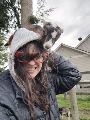 LEFT FOOT FARM - 19 Photos - 31510 44th Ave E, Eatonville, Washington ...