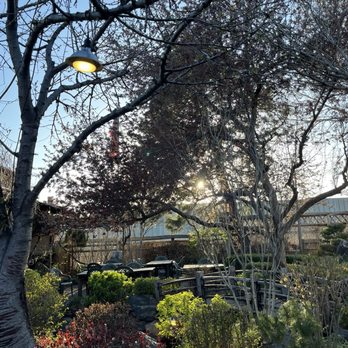 DOMO - Updated January 2025 - 1391 Photos & 1202 Reviews - 1365 Osage ...