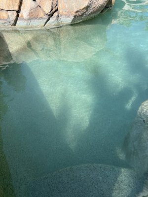 TITAN POOLS - Updated December 2025 - 55 Photos & 48 Reviews - 5765 ...