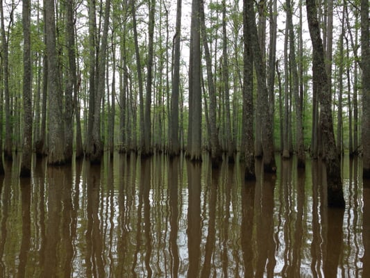 GHOST RIVER OUTFITTERS - Updated December 2025 - 31 Photos - Bateman Rd ...