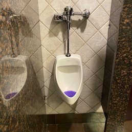 PITA INN - Updated January 2026 - 244 Photos & 614 Reviews - 122 S ...