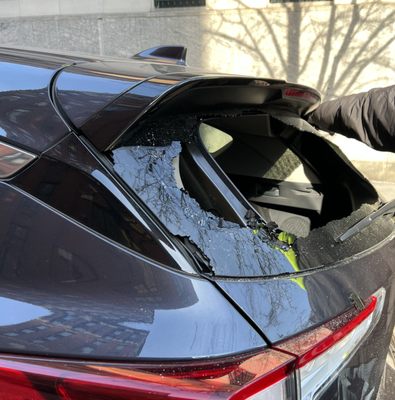 SPRINGFIELD ACURA - Updated November 2025 - 50 Photos & 119 Reviews ...