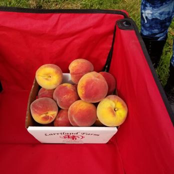 LARRILAND FARM - Updated October 2025 - 437 Photos & 215 Reviews - 2415 ...