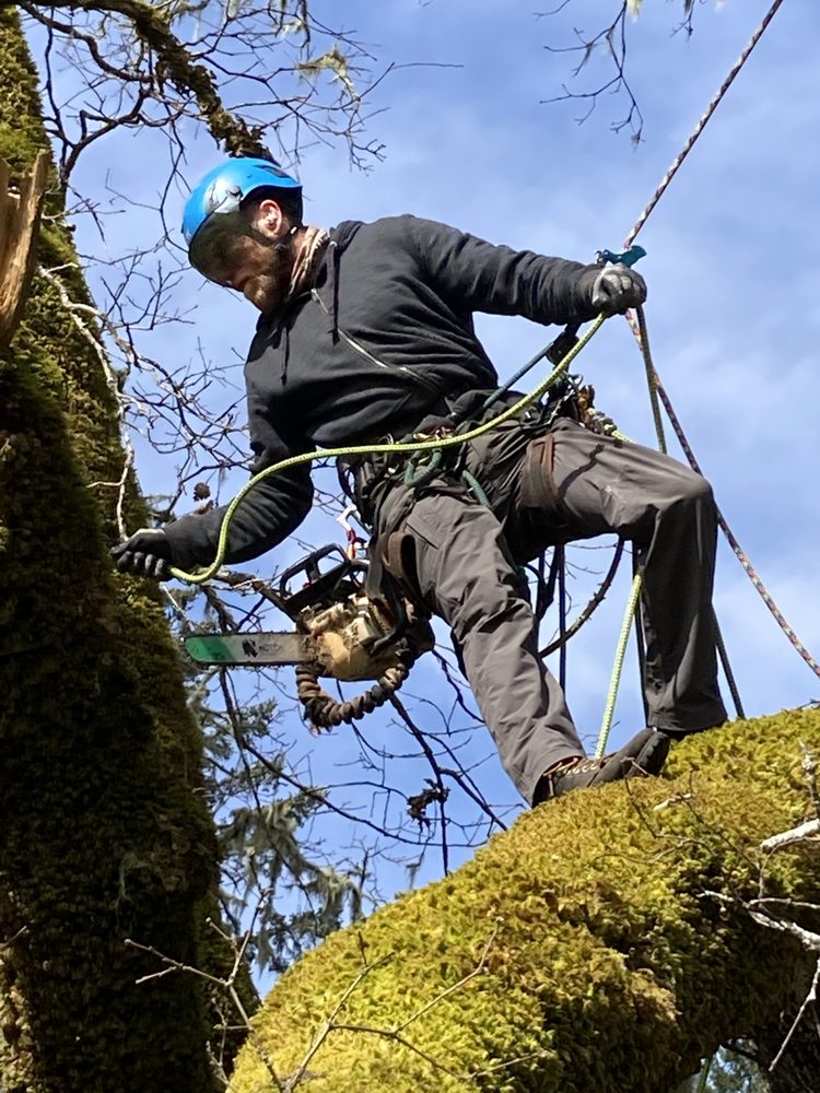 SQUATCHIE’S TREES - Updated October 2025 - Request a Quote - 16 Photos ...