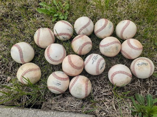 CEDAR RAPIDS KERNELS BASEBALL - Updated May 2025 - 45 Photos & 13 ...