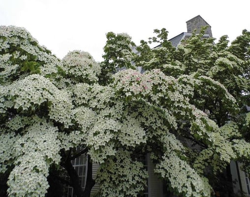 JONES LIBRARY - Updated December 2025 - 12 Photos - 101 University Dr ...