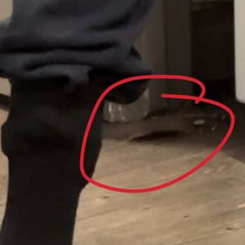 SAGA RENO - Updated January 2026 - 41 Photos & 79 Reviews - 2780 ...