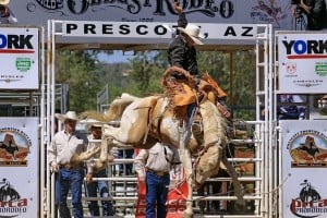 Worlds Oldest Rodeo, Prescott | Roadtrippers