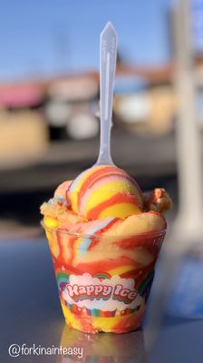 HAPPY ICE - Updated November 2024 - 636 Photos & 456 Reviews - 7324 ...