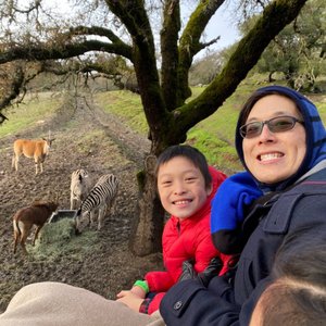 SAFARI WEST - 2765 Photos & 907 Reviews - Zoos - 3115 Porter Creek Rd ...