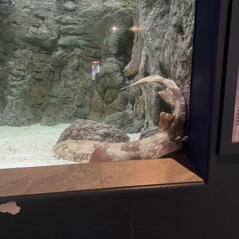 WILDLIFE WORLD ZOO, AQUARIUM & SAFARI PARK - 1783 Photos & 920 Reviews ...