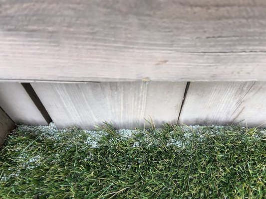 BIG BULLY TURF - 25 Photos & 11 Reviews - 350 Tenth Ave, San Diego ...