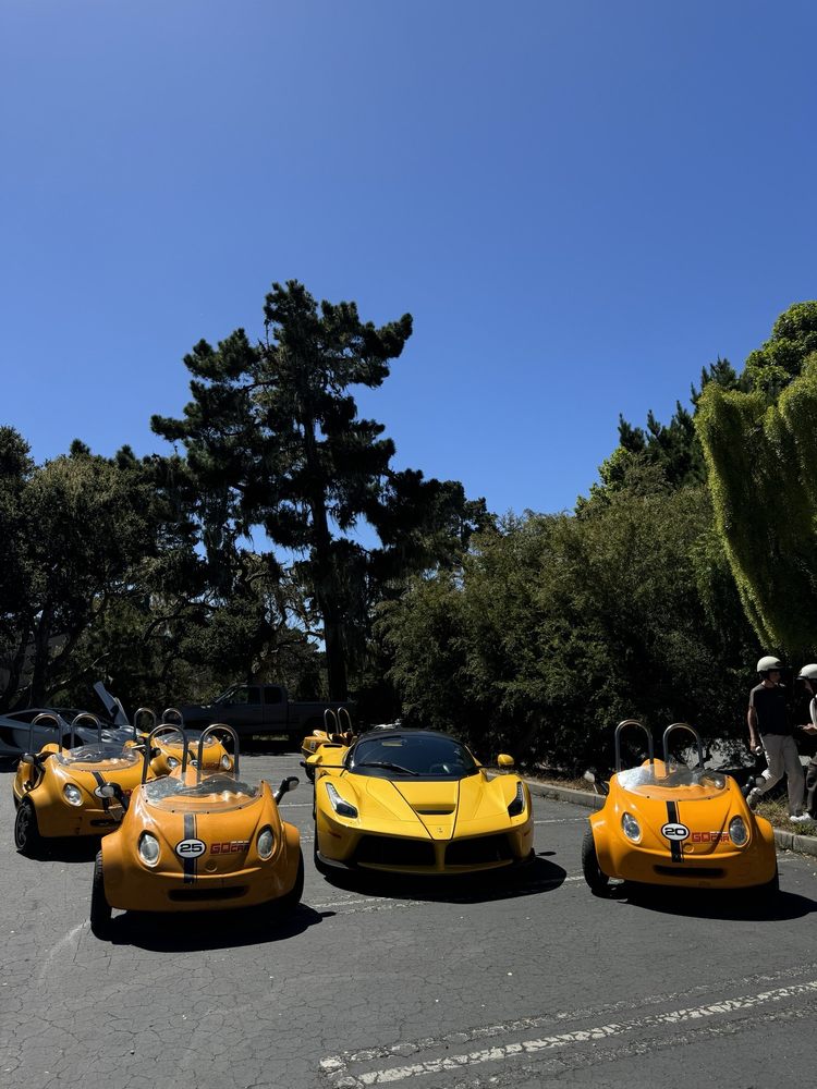 GOCAR TOURS - Updated October 2025 - 157 Photos & 198 Reviews - 791 ...