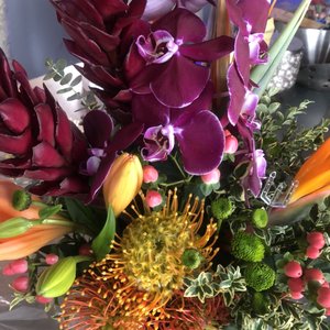 OBERER’S FLOWERS - 71 Photos & 59 Reviews - 3950 Morse Crossing ...