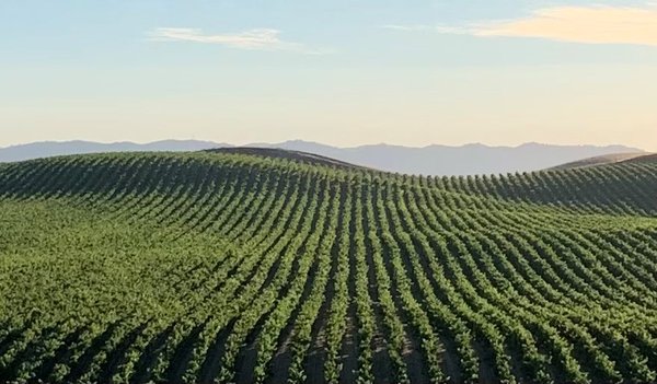 ZAMORA HILLS RANCH - Updated February 2025 - 32250 County Rd 14, Zamora ...