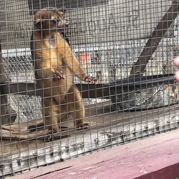 SINGLE VISION SANCTUARY - Updated December 2024 - 14 Photos & 14 ...