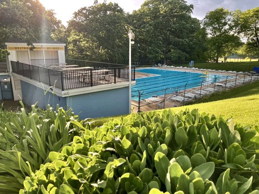 WESTRIDGE POOL - Updated July 2025 - 3516 Paddock Rd, Omaha, Nebraska ...