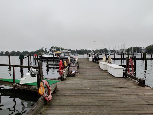 HIDDEN HARBOUR - Updated September 2024 - 118 Photos & 85 Reviews ...