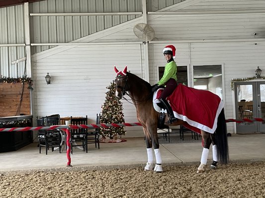 BLACK STAR EQUSTRIAN CENTER - Updated October 2025 - 4172 FM-1446 ...