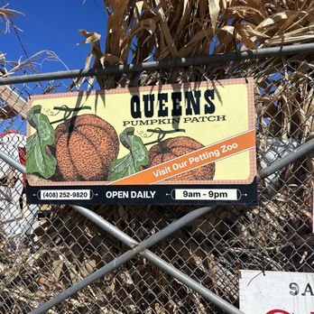 QUEENS PUMPKIN PATCH - TEMP. CLOSED - Updated July 2025 - 231 Photos ...
