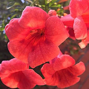 KEMPSVILLE AREA LIBRARY - Updated August 2025 - 37 Photos & 16 Reviews ...