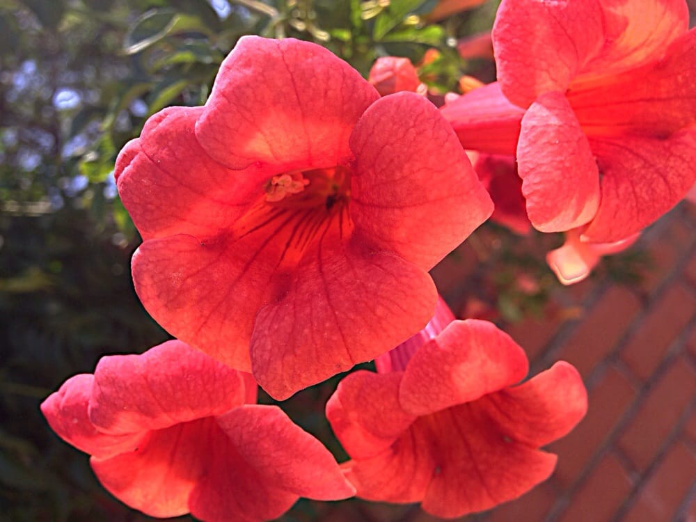 RUSSELL MEMORIAL LIBRARY - Updated December 2025 - 40 Photos - 2808 ...