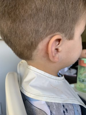 SHARKEY’S CUTS FOR KIDS - Updated September 2024 - 86 Photos & 119 ...